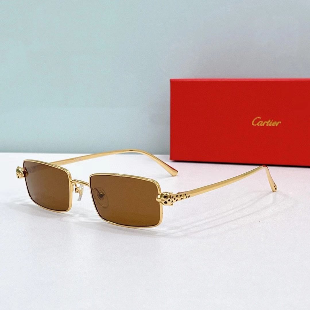 CART Sunglasses AT11051 – End One