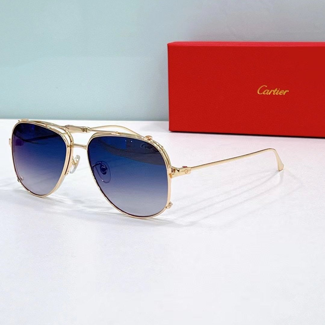 CART Sunglasses AT10176 – End One
